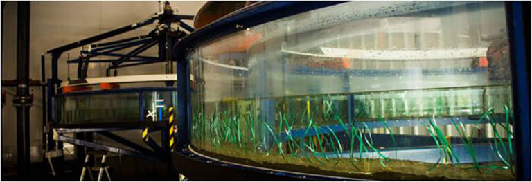 Flume Room – Haskin Shellfish Research Laboratory